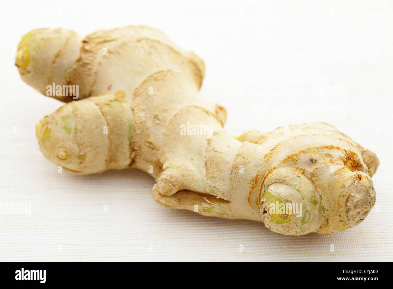 Tuber root rhizome hi-res stock photography and images - Alamy