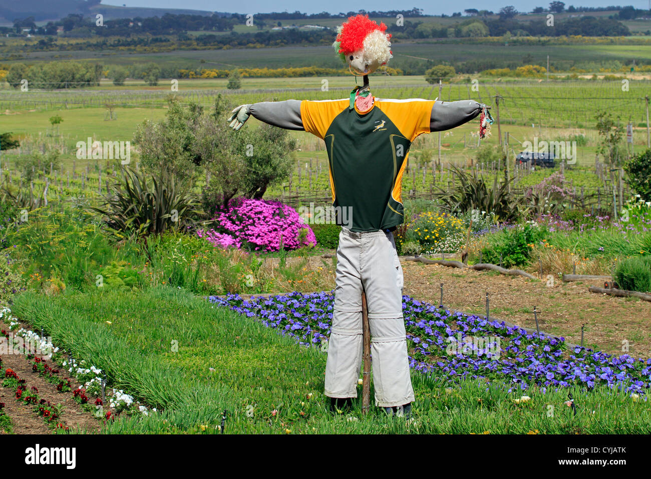 South african scarecrow hi-res stock photography and images - Alamy