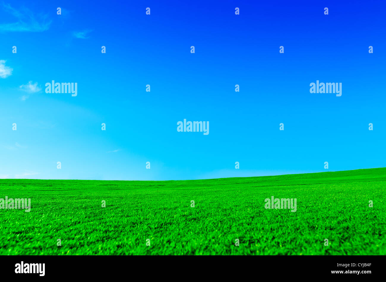 Bright green field on a sunny day Stock Photo - Alamy