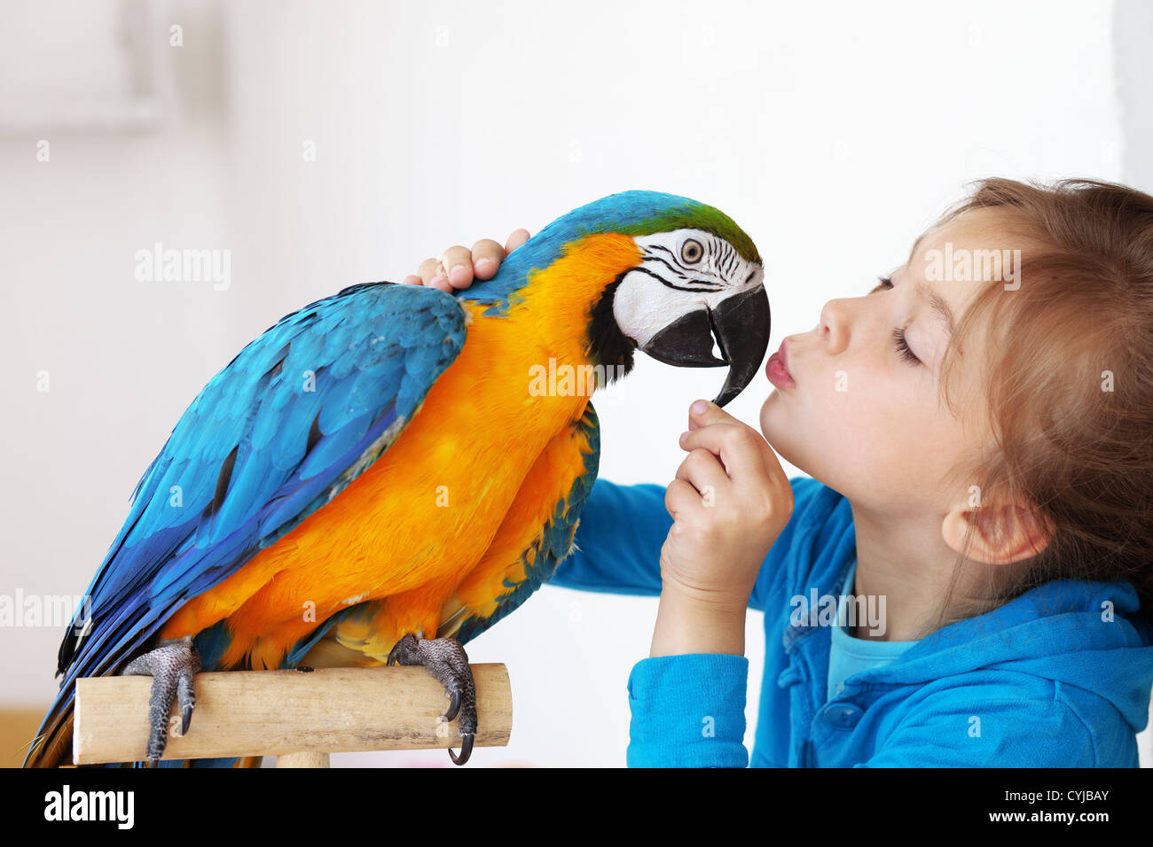 Portrait of a kid girl with her domestic ara parrot Stock Photo - Alamy
