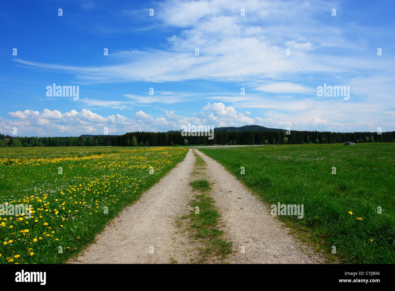 a path through a summer landscape outside Stock Photo - Alamy