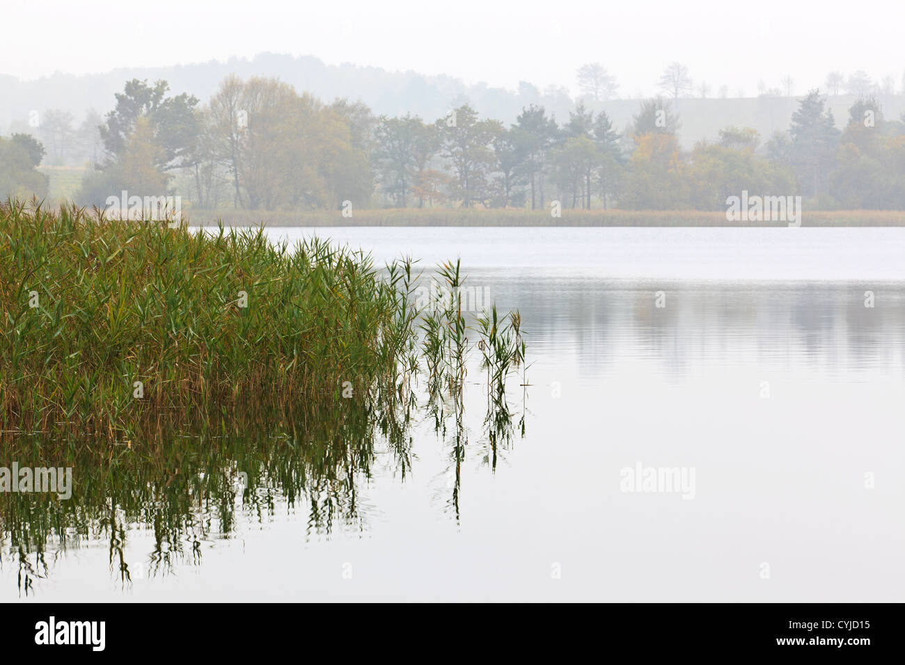 Frensham little pond hi-res stock photography and images - Alamy