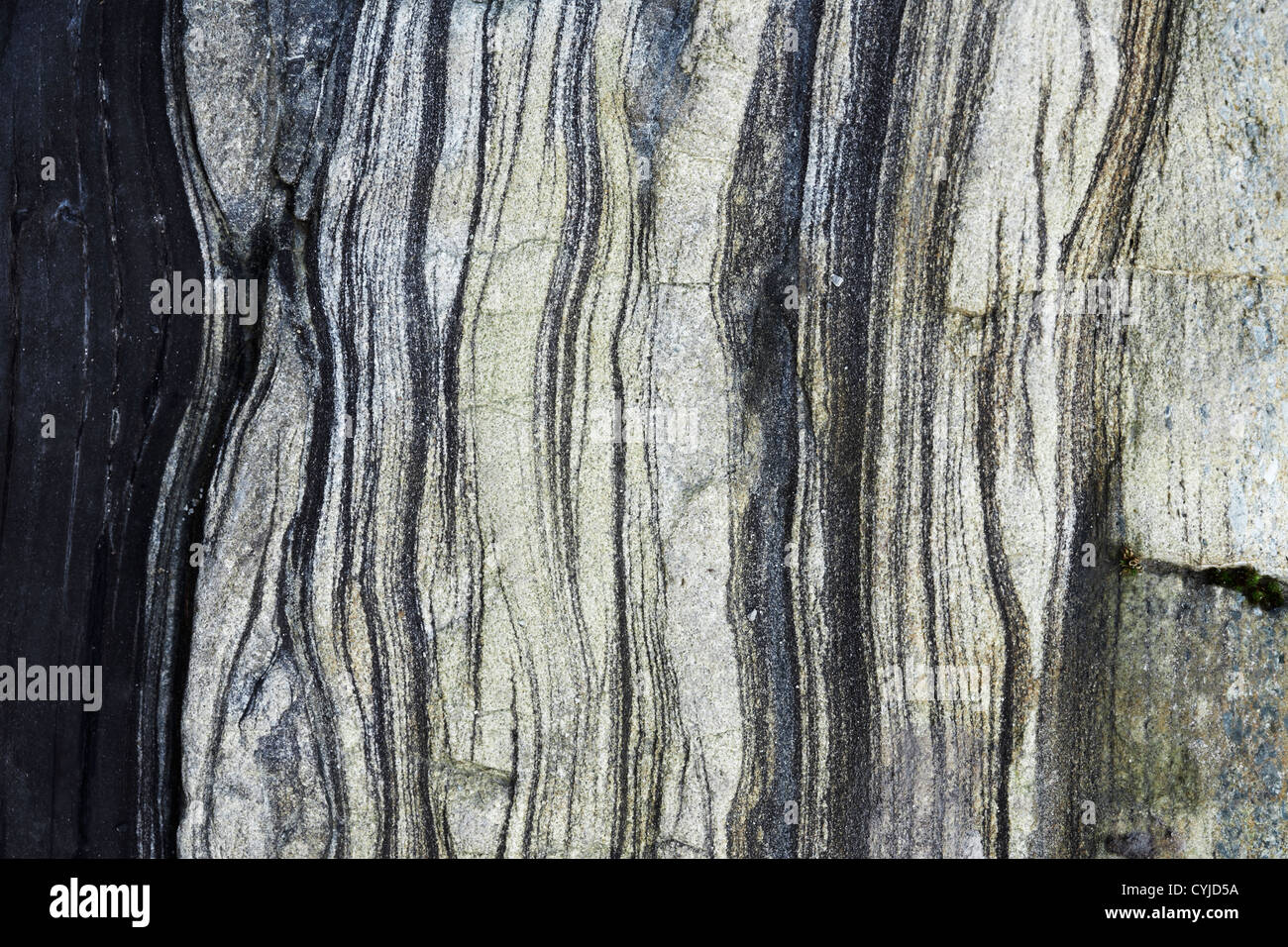 Closeup picture of a stone texture Stock Photo - Alamy