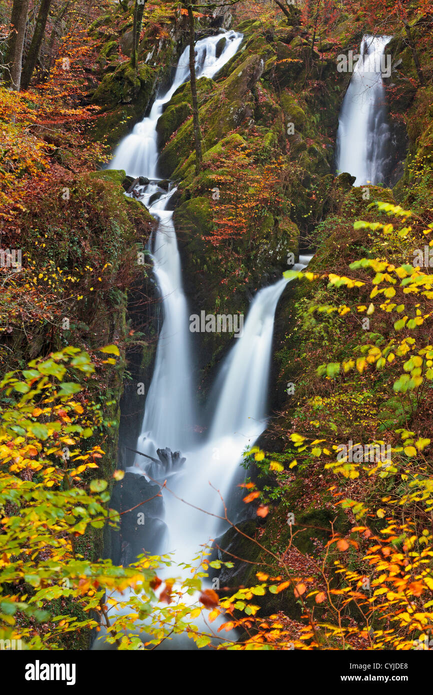 Stockghyll Force waterfall near Ambleside in the Lake district Stock ...
