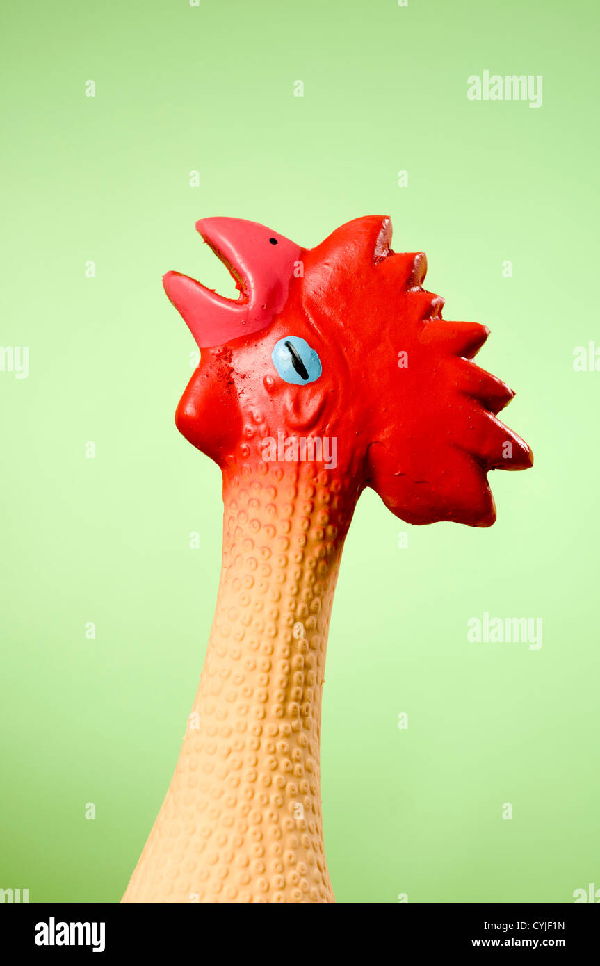 Studio portrait of rubber rooster over colorful background Stock Photo ...
