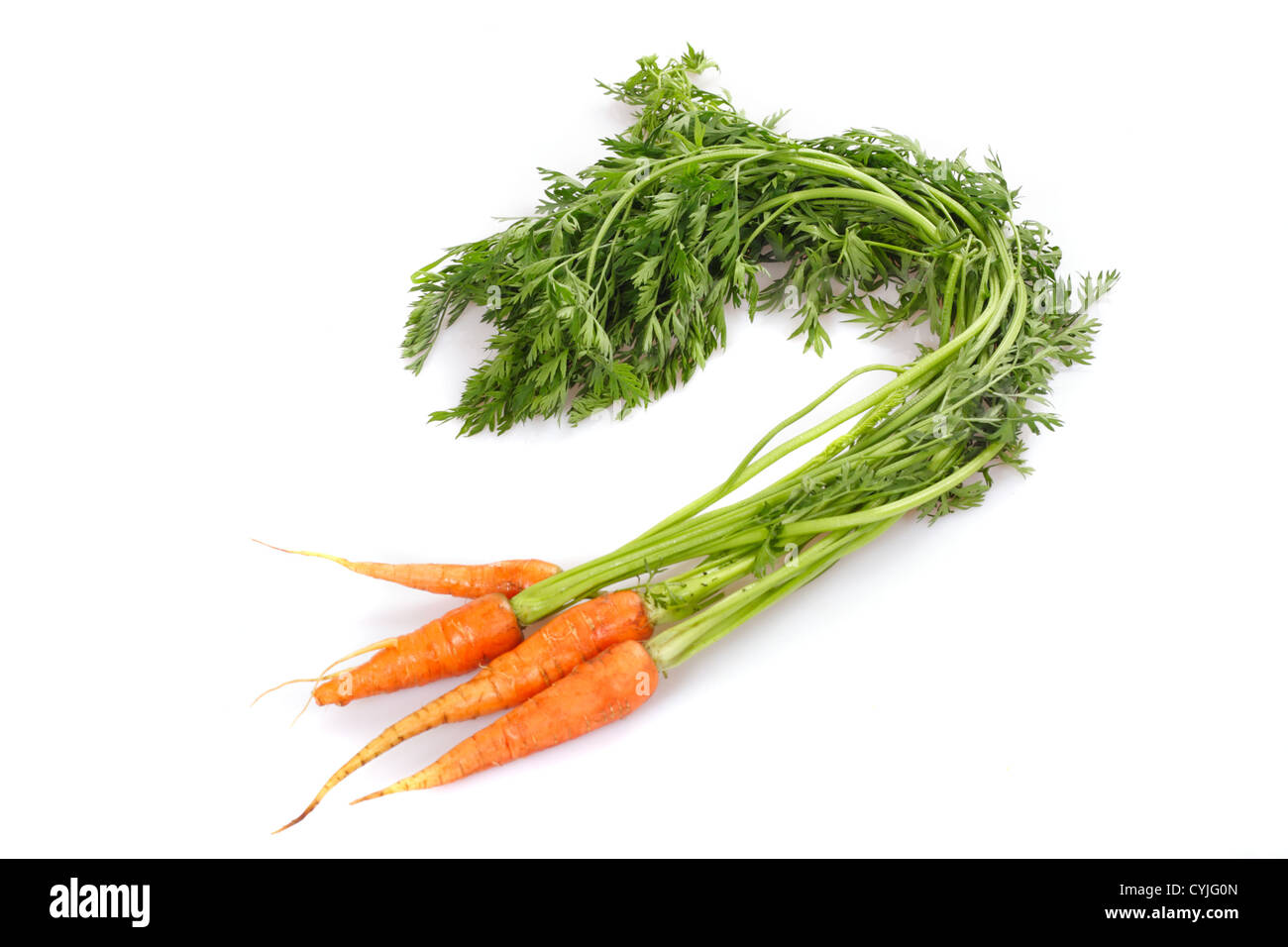 Roots carrot hi-res stock photography and images - Alamy
