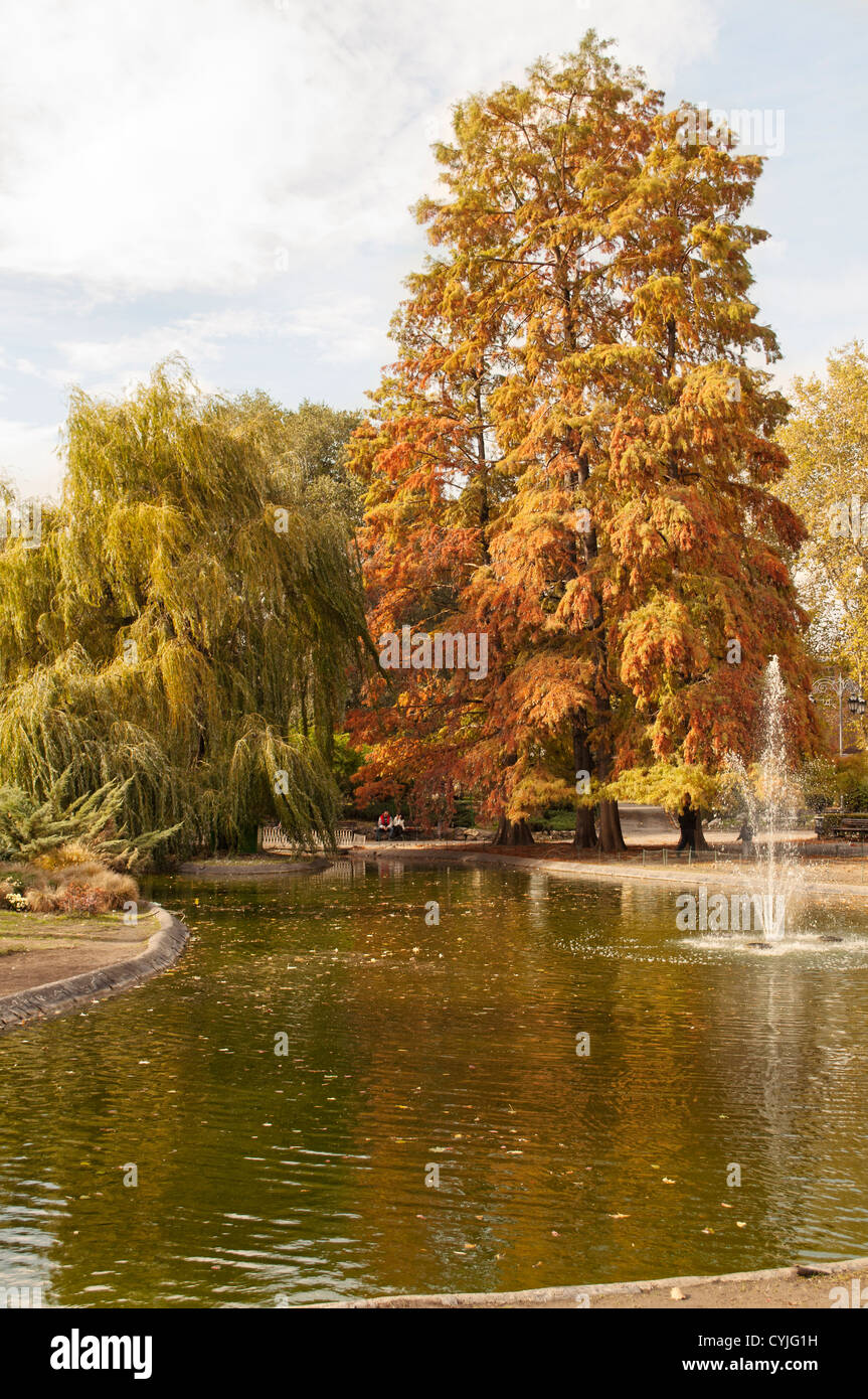 Novi sad park hi-res stock photography and images - Alamy