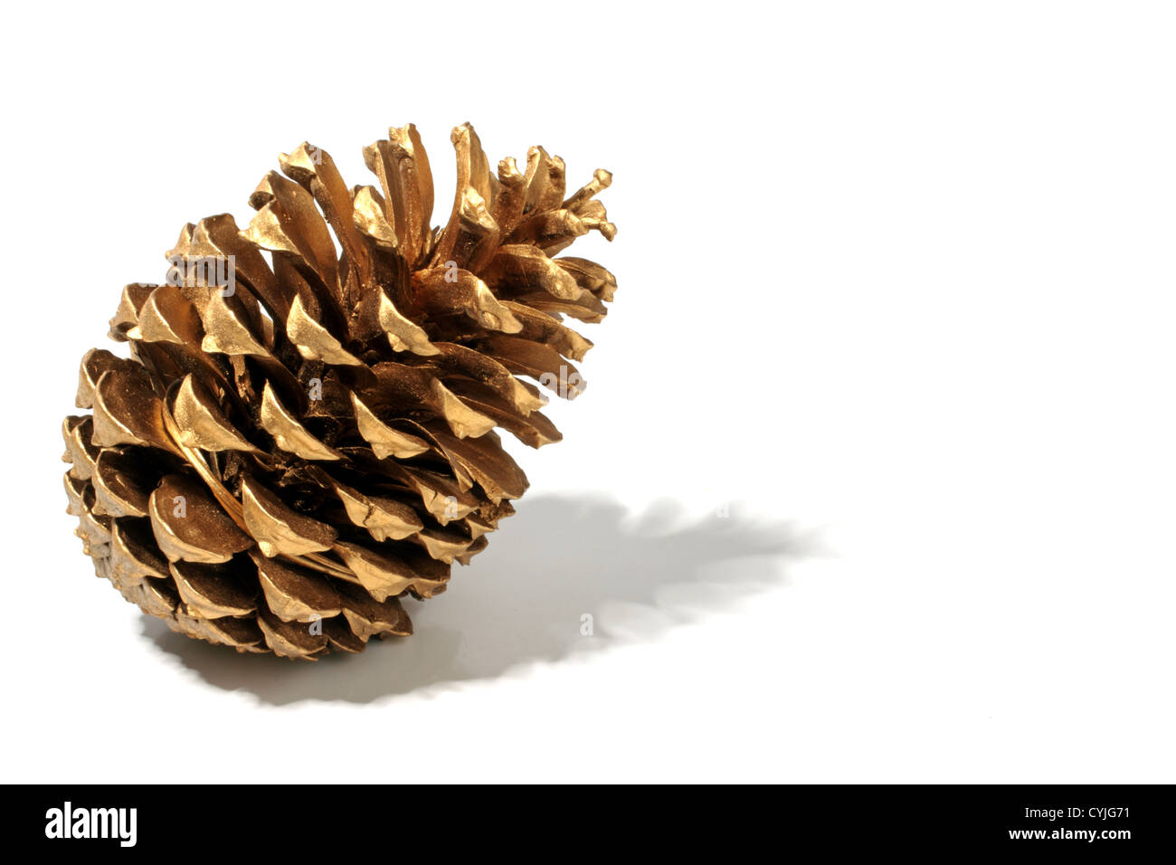 White apple on tree Cut Out Stock Images & Pictures - Alamy