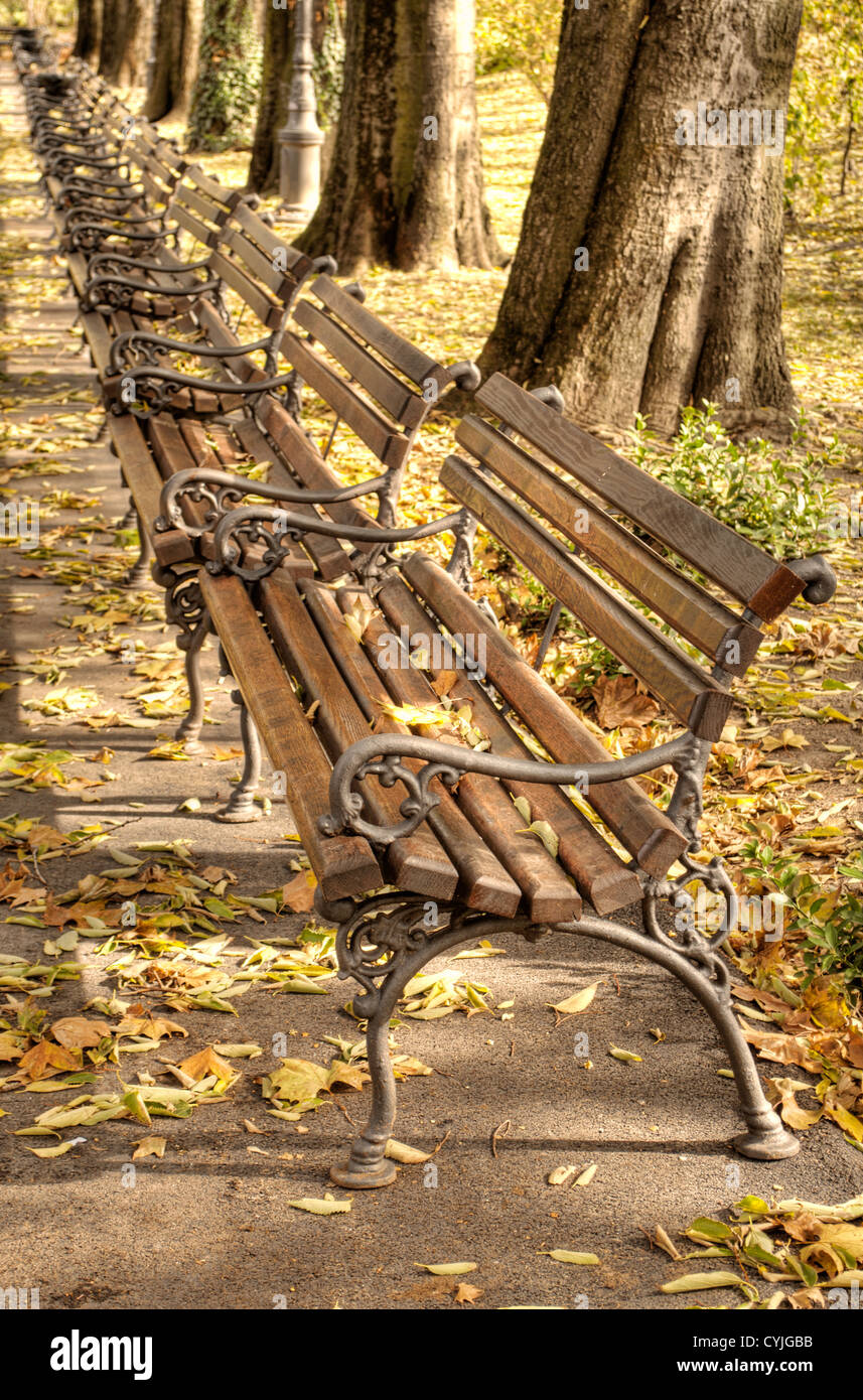 Row of benches in a park Stock Photo - Alamy
