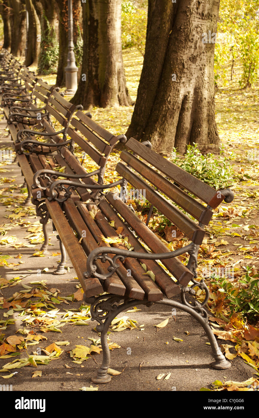 Row of benches in a park Stock Photo - Alamy