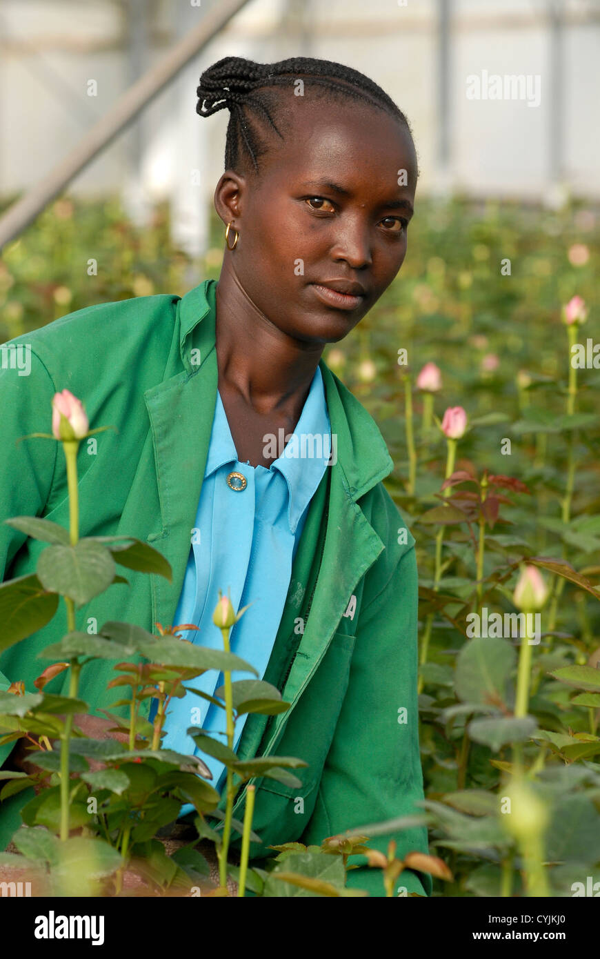 Farming flowers tanzania hi-res stock photography and images - Alamy