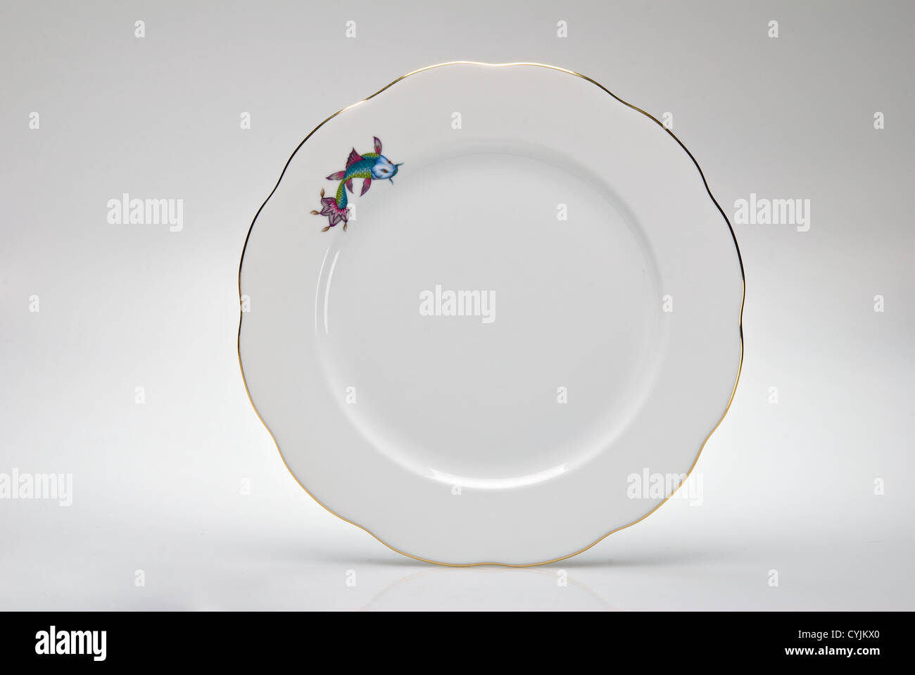 Hand-painted empty dinner plate isolated on white Stock Photo - Alamy