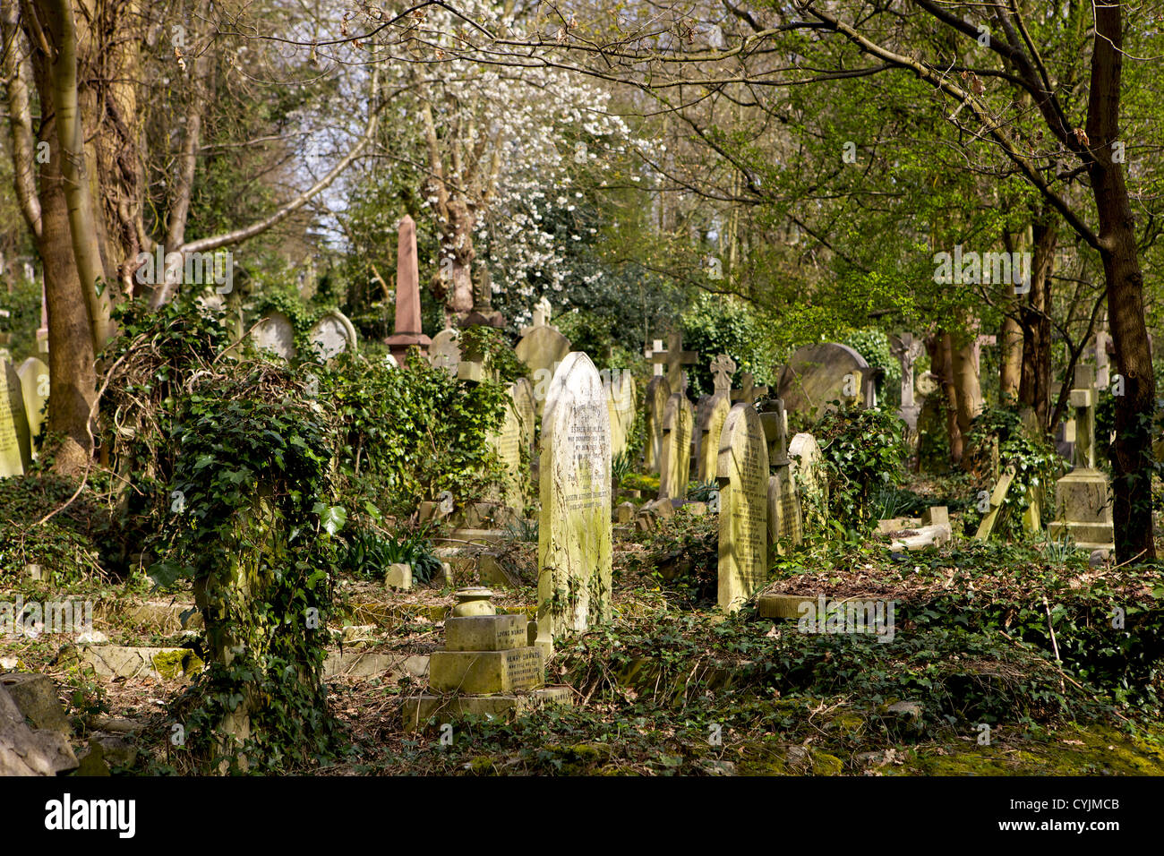 Overgrown grave england britain old graveyard hi-res stock photography ...