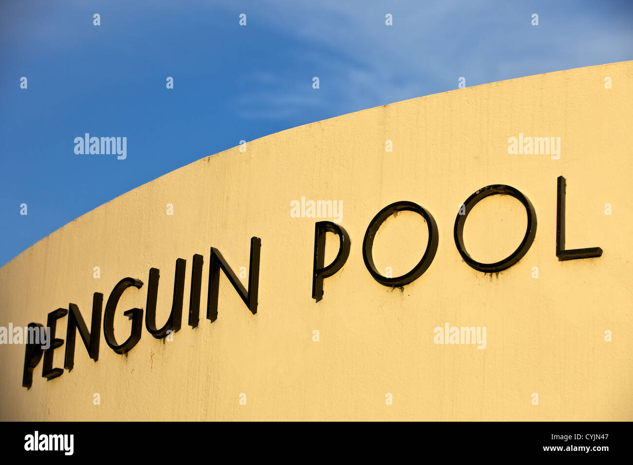 Yellow sine sines hi-res stock photography and images - Alamy