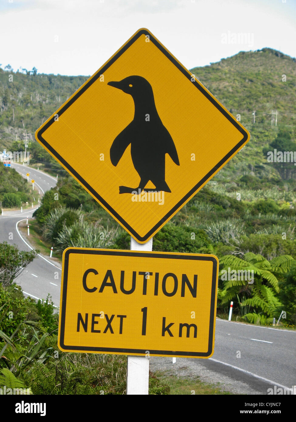 Penguin warning road sign. South Island, New Zealand Stock Photo - Alamy
