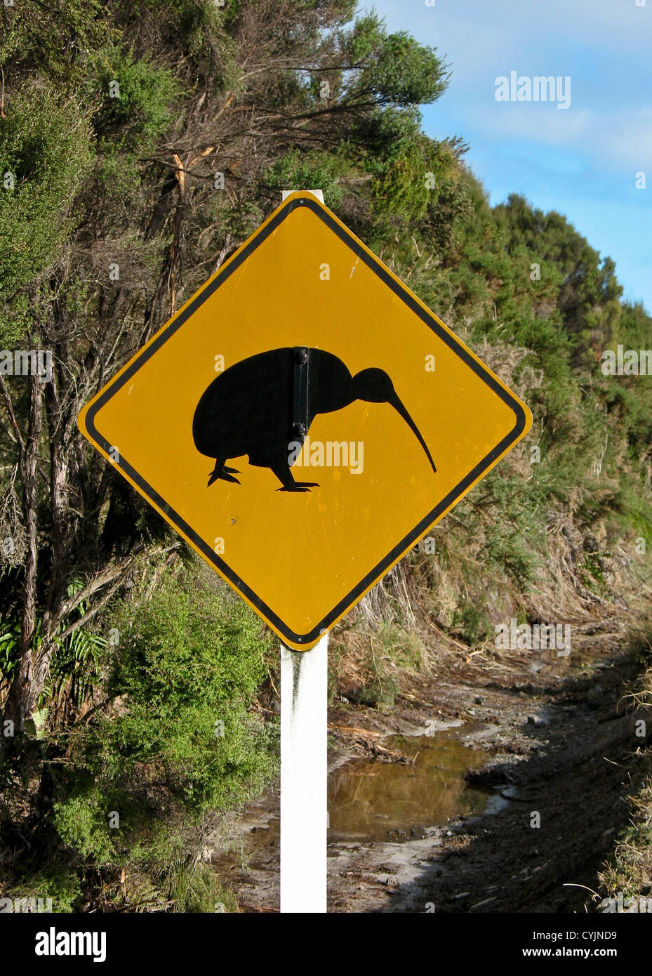 Kiwi warning road sign. South Island, New Zealand Stock Photo - Alamy