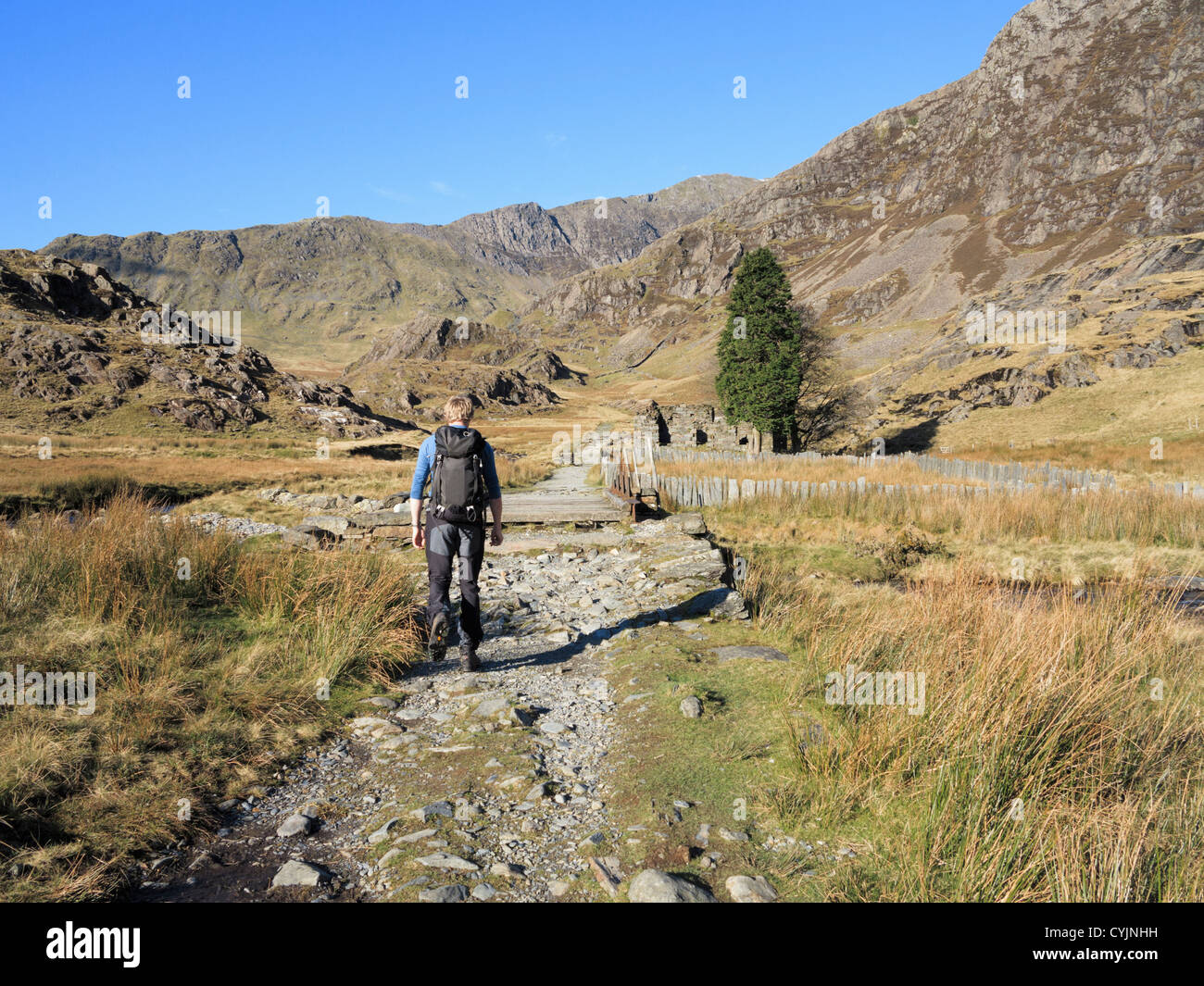 Male hiker hiking on the Watkin Path route to Mount Snowdon in Cwm LLan ...