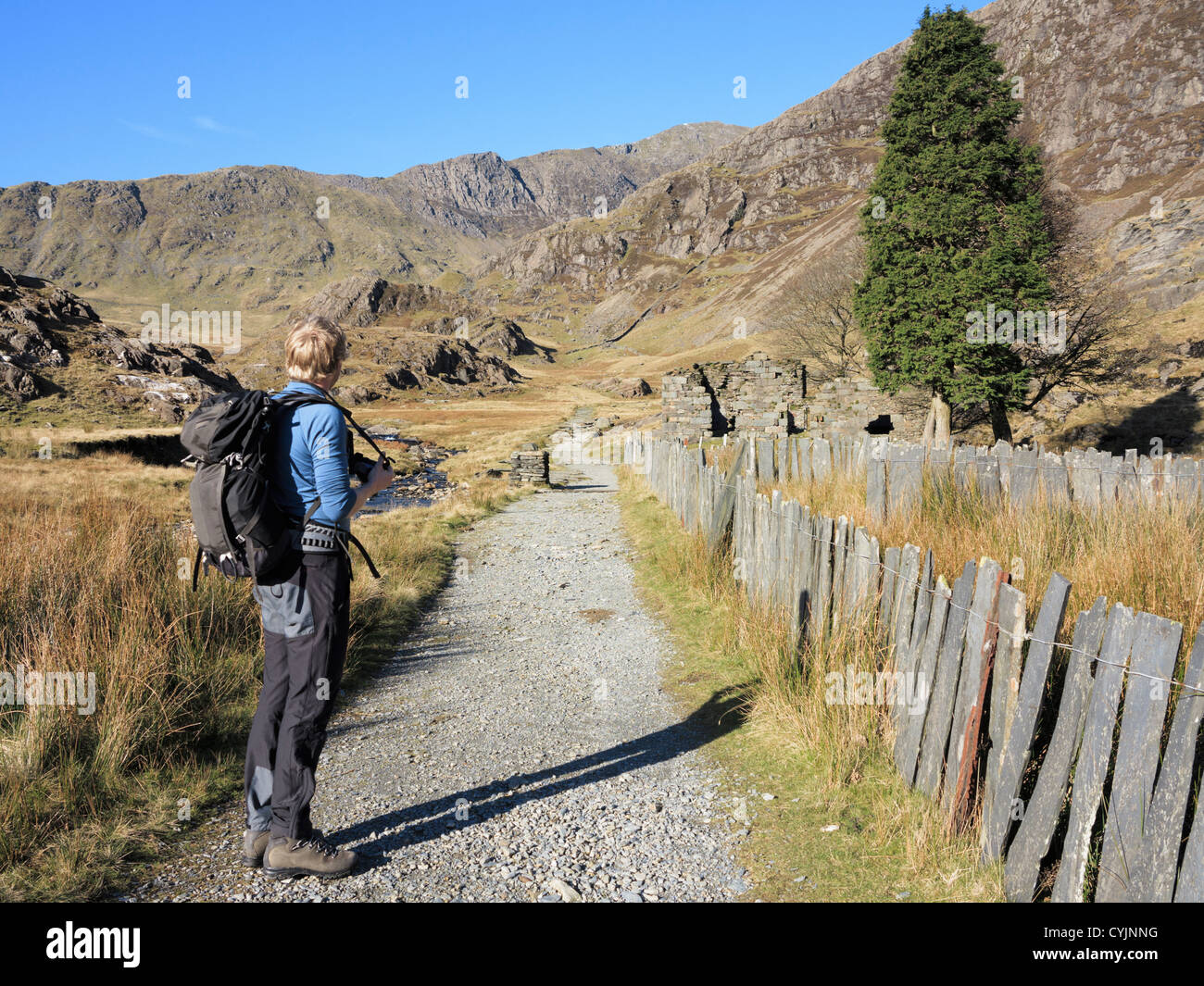 A Millennial male hiker hiking by traditional slate fence on Watkin ...
