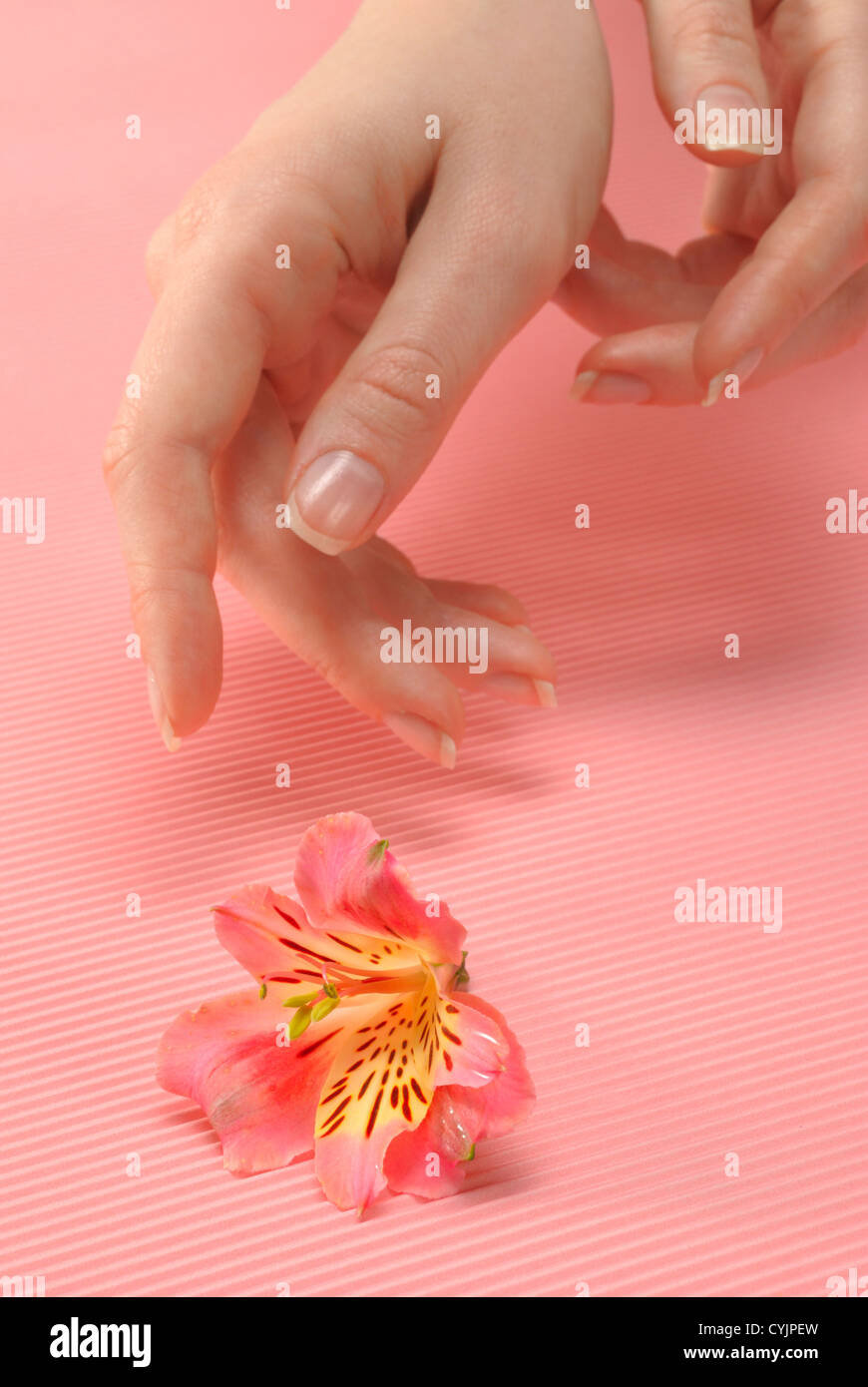 Hand with flower hi-res stock photography and images - Alamy