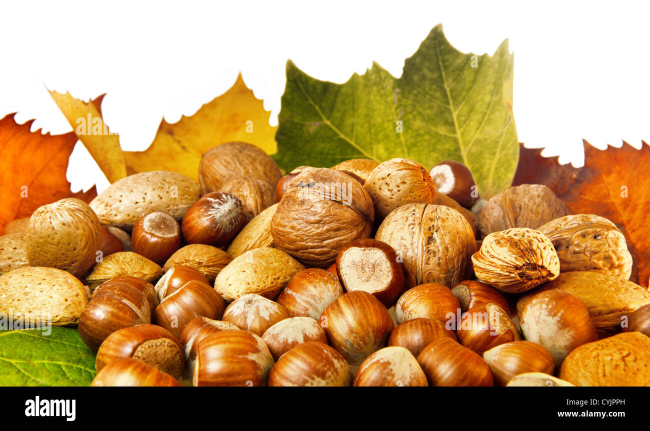 Nuts and autumn leaves Stock Photo - Alamy