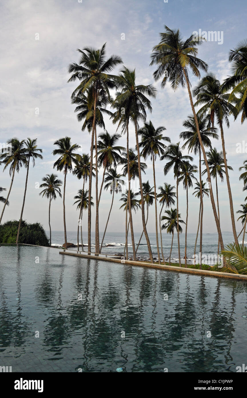 Aman wella sri lanka hi-res stock photography and images - Alamy