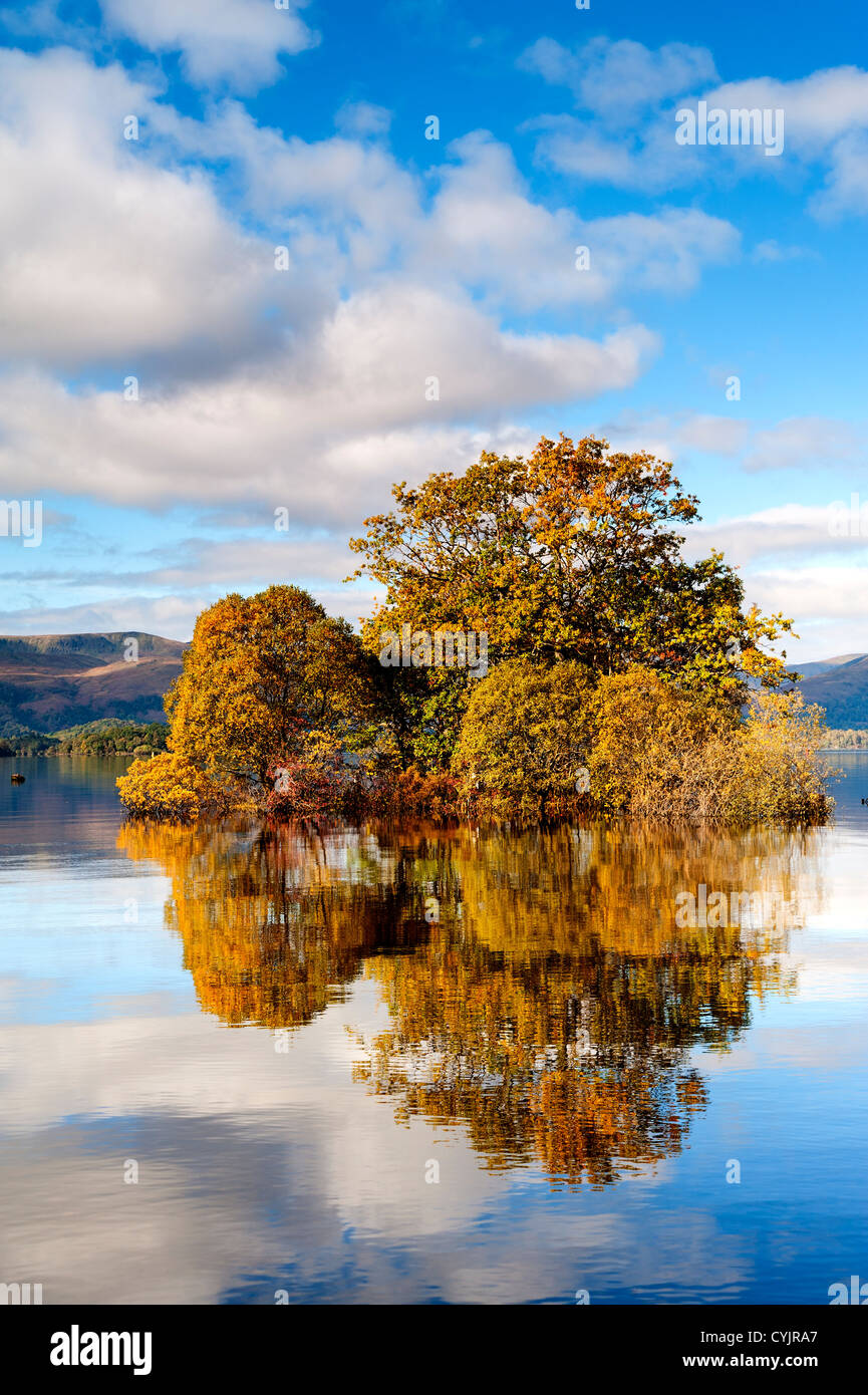 Autumn light illuminates the trees on Loch Lomond as seen from the ...