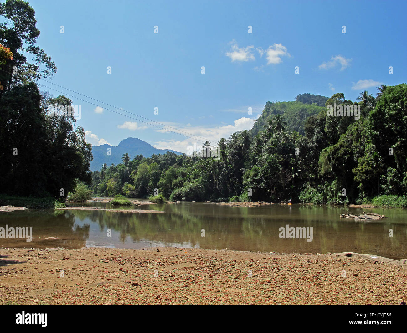 Protected rainforest area on the Kelani River, near Kitulgala, Sri ...
