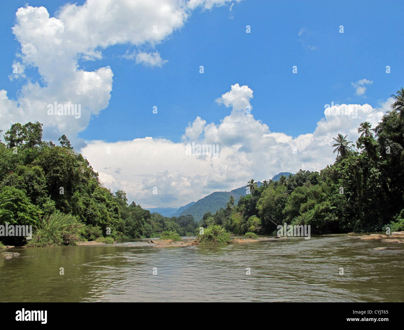 Protected rainforest area on the Kelani River, near Kitulgala, Sri ...