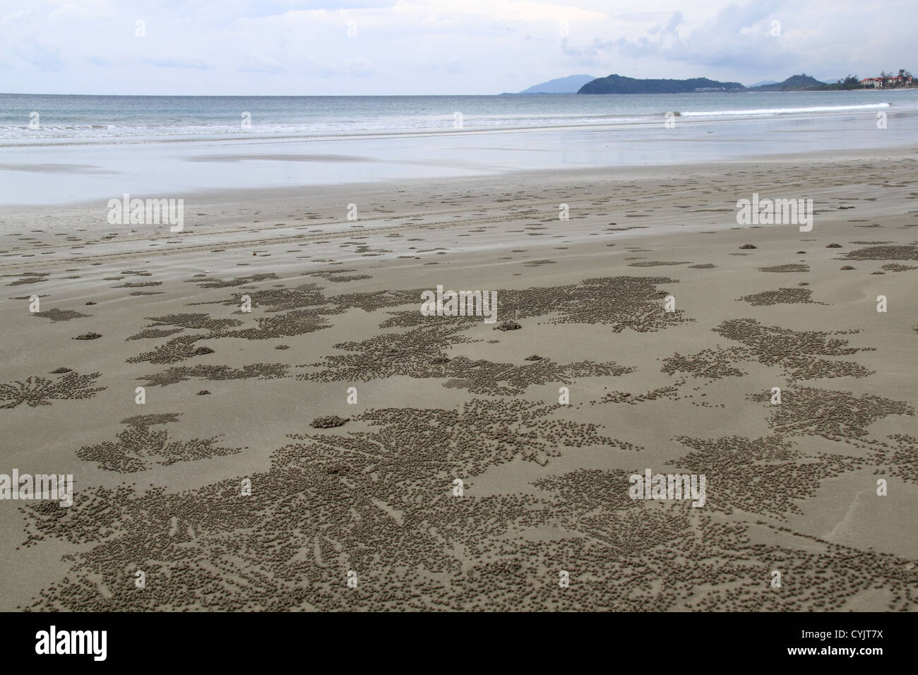 Patterns made by Ghost Sand Crabs on beach, Nexus Resort & Spa ...