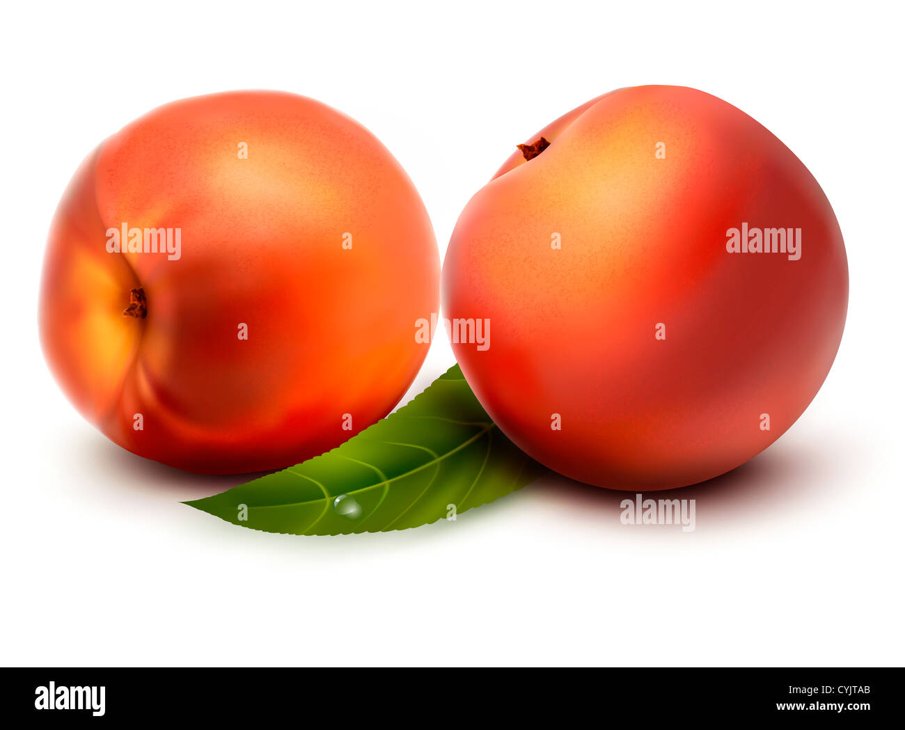 Two fresh peaches Stock Photo - Alamy