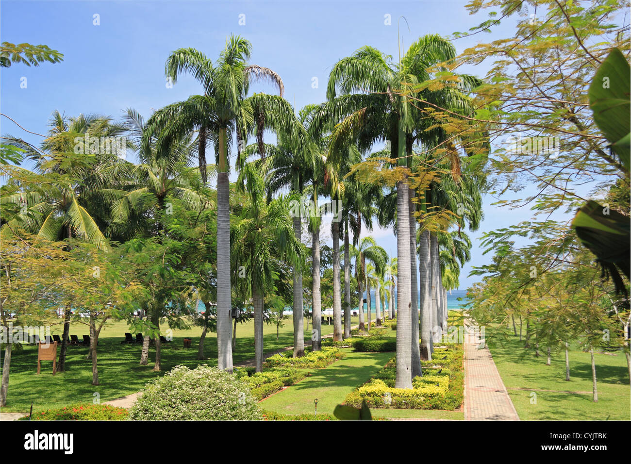 Borneo gardens hi-res stock photography and images - Alamy
