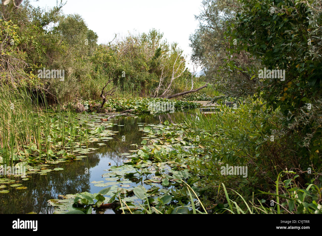 National Park Hutovo Blato, near Mostar, Bosnia and Herzegovina Stock ...