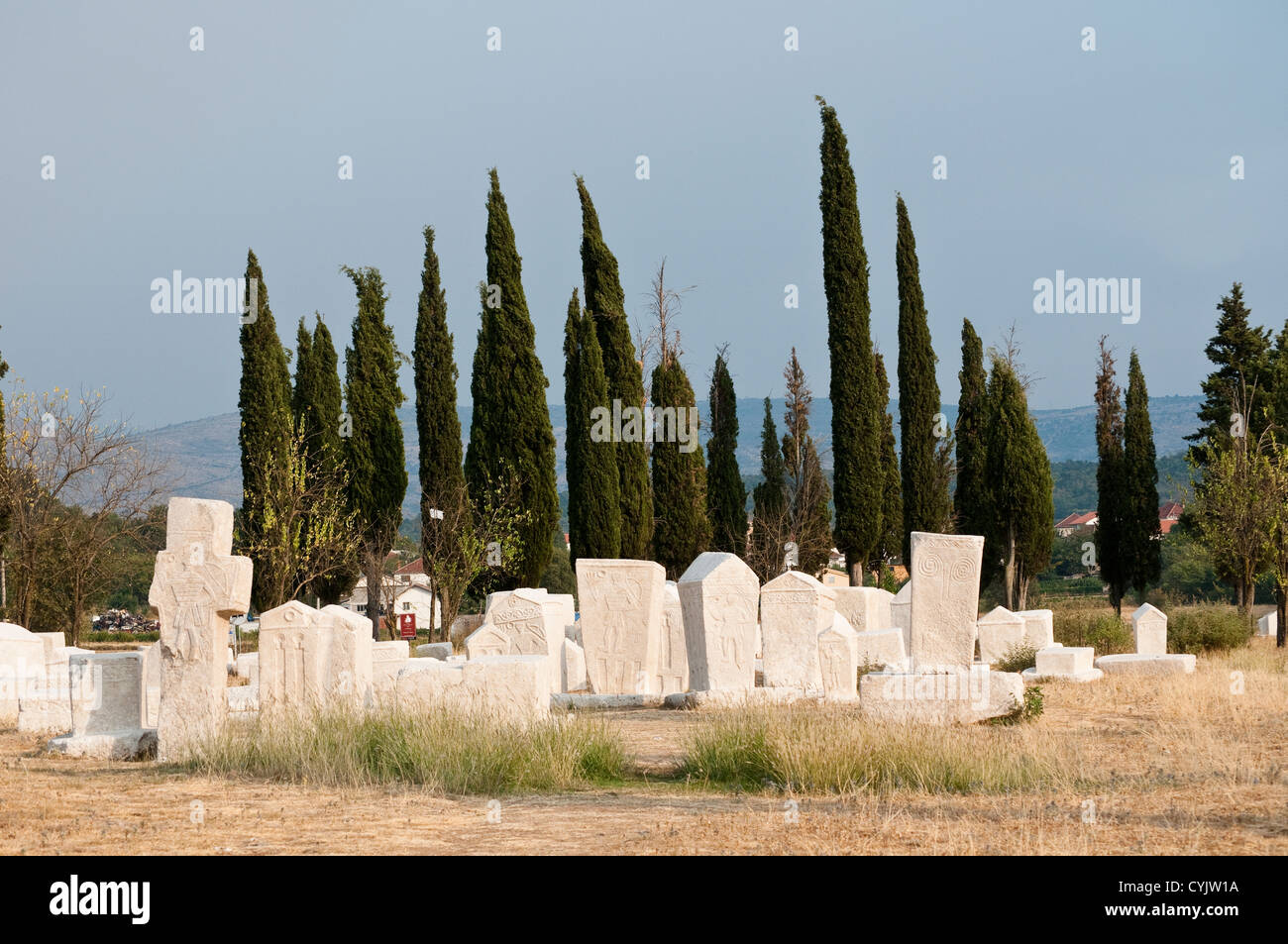 Medieval headstones Stecci at necropolis Radimlja, near Mostar, Bosnia ...