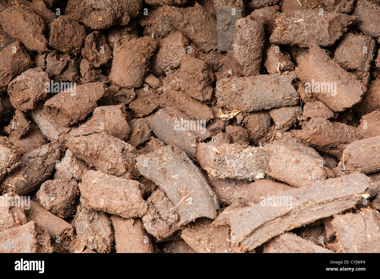 Pieces of dried peat Stock Photo - Alamy