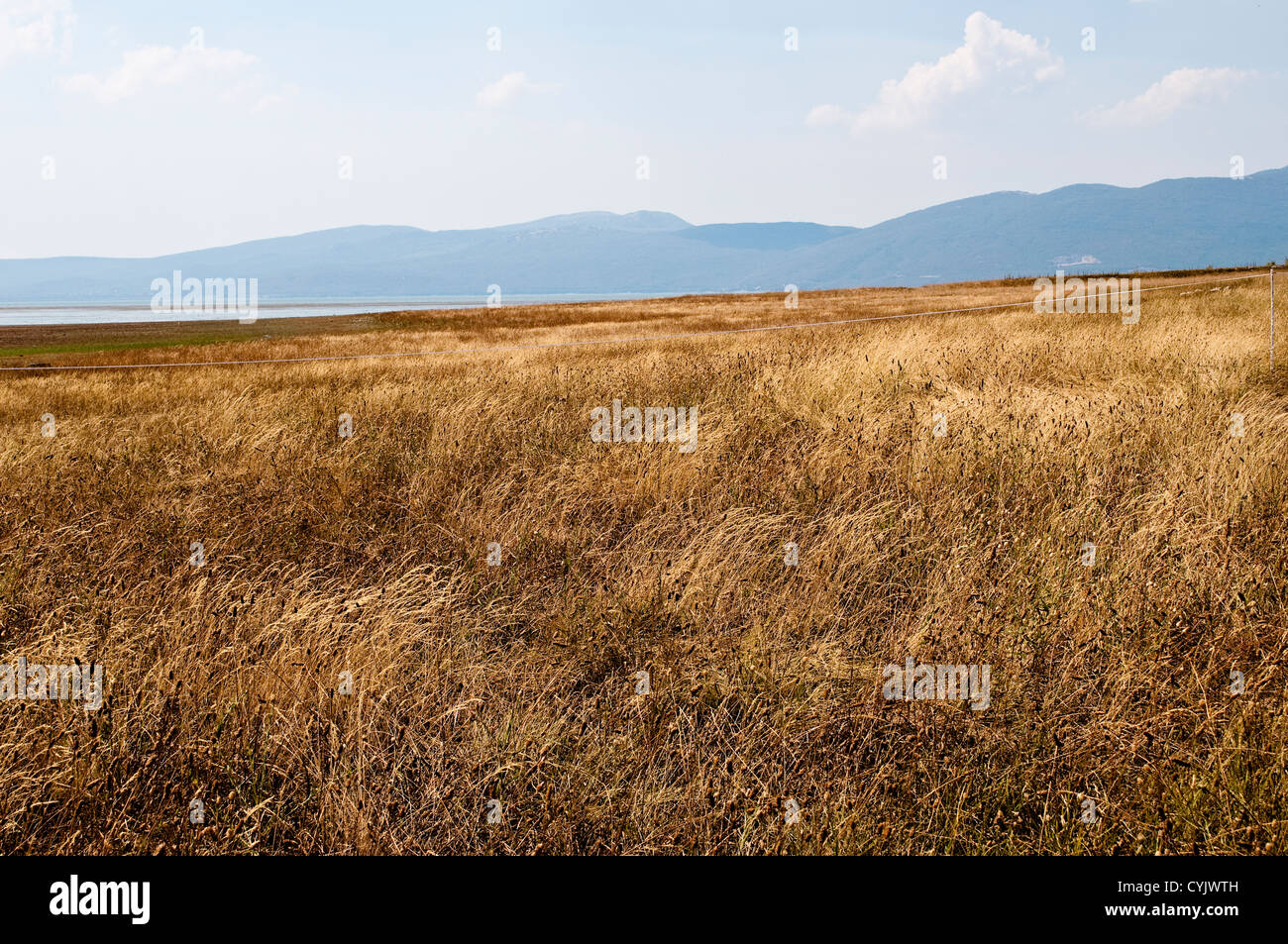 Busko lake hi-res stock photography and images - Alamy