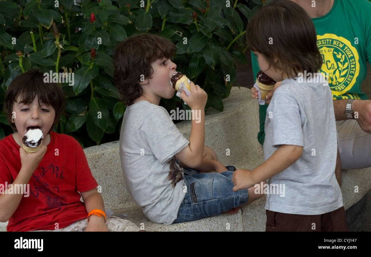 Ice cream bush hi-res stock photography and images - Alamy