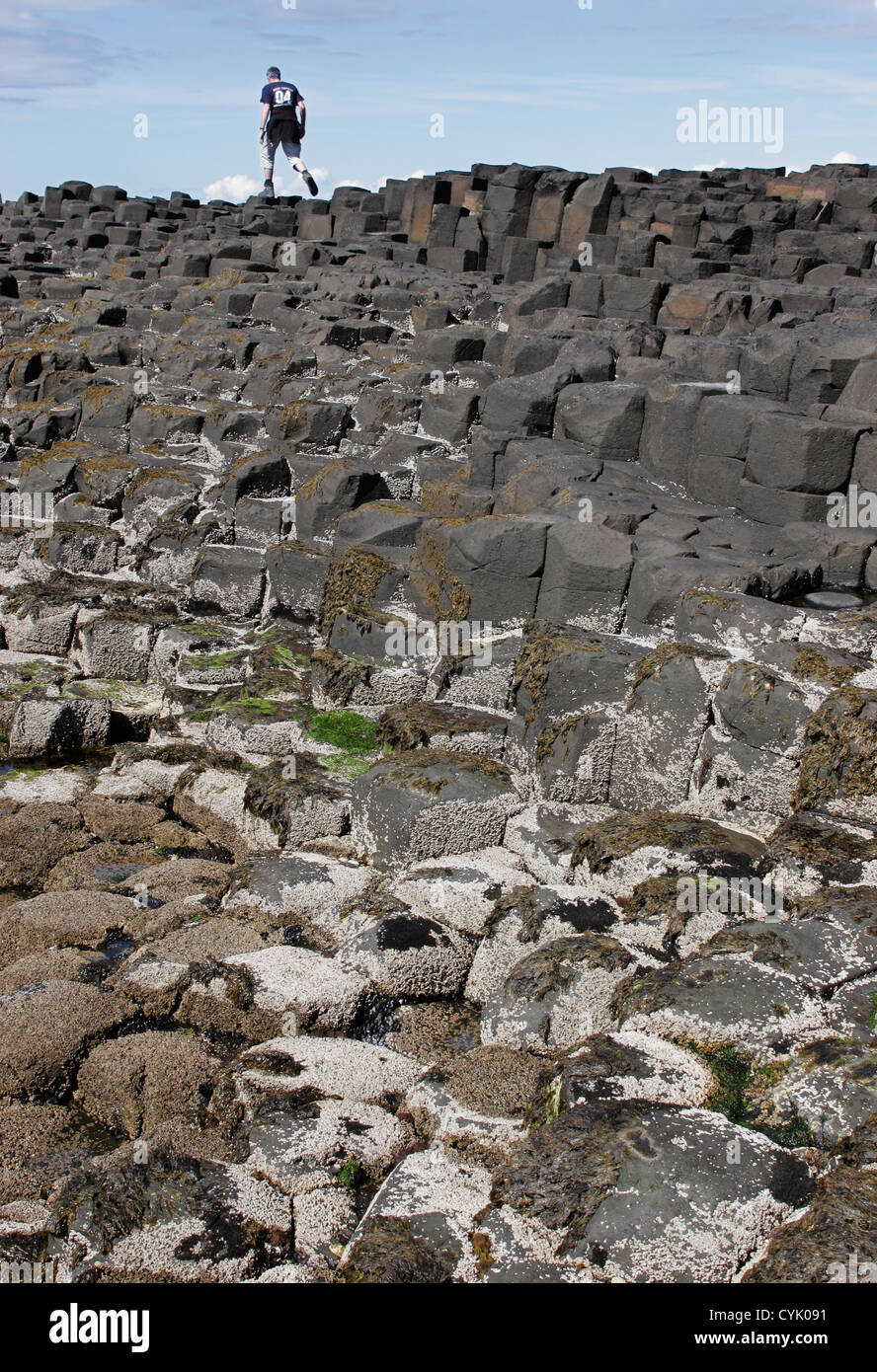 A young man is climbing on the polygonal columns of layered basalt at ...