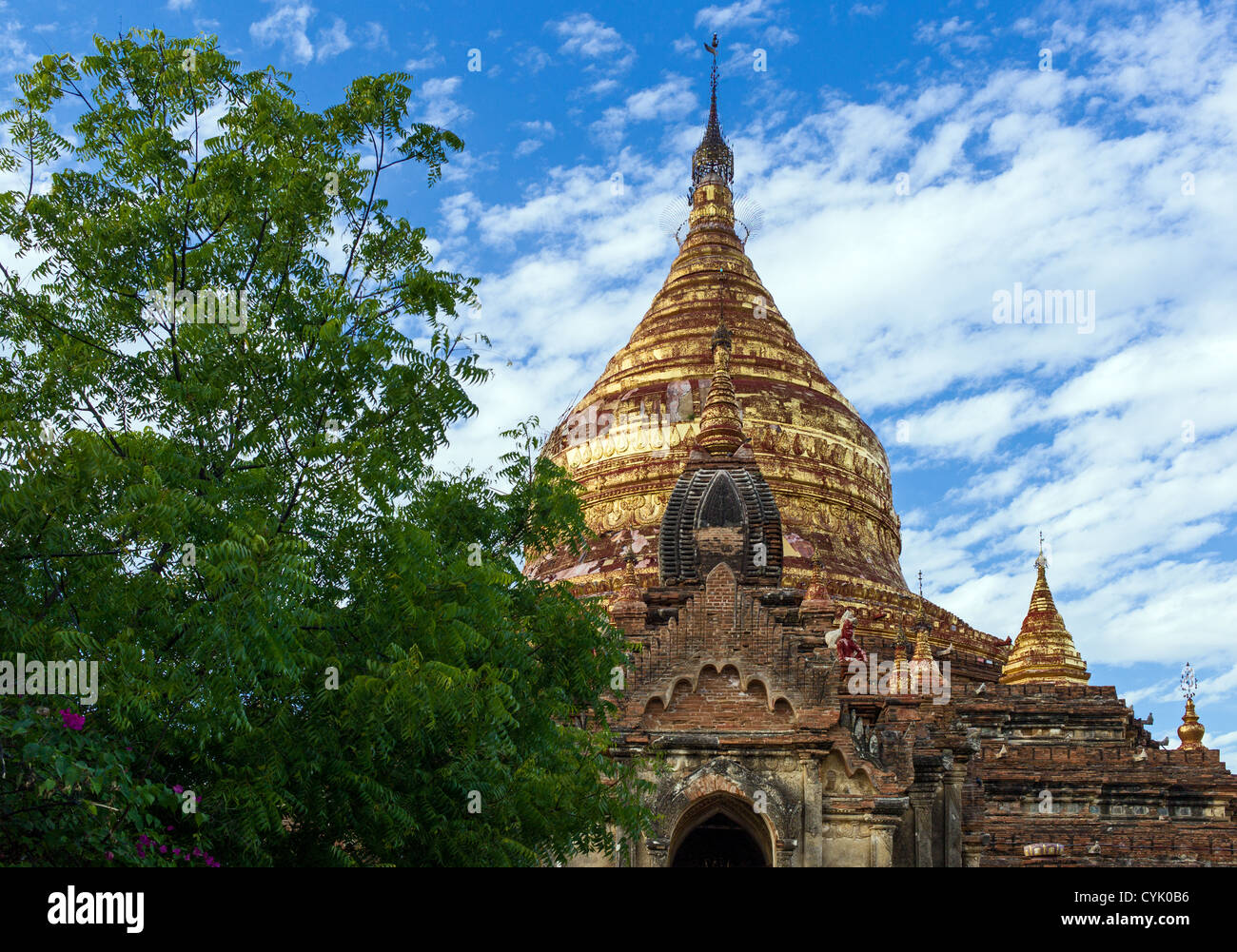 Myanmar, Bagan, the golden pagoda in the plain with thousand of 880 ...