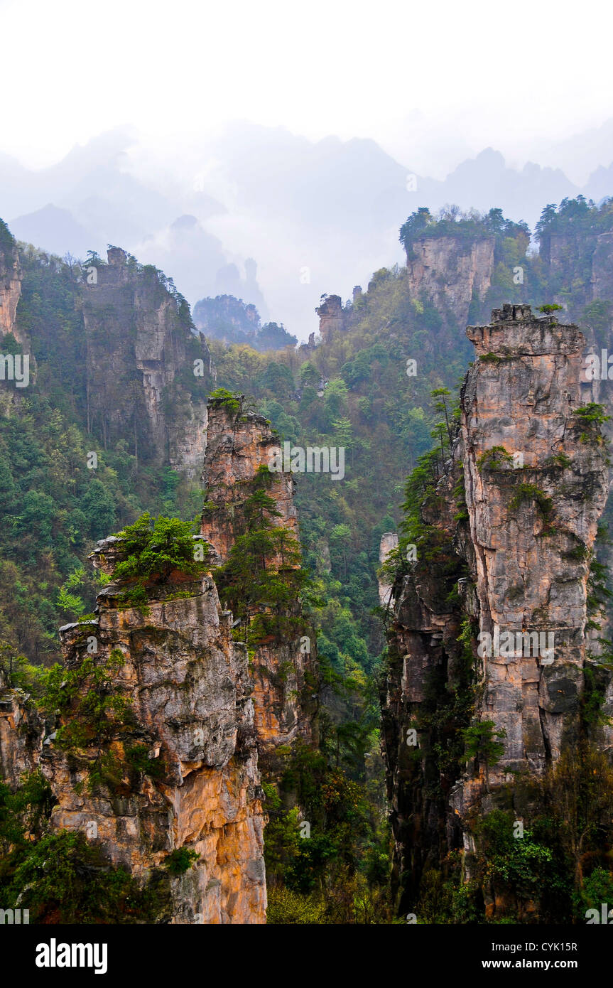 Majestic Mountain Peaks Through the Clouds - Wulingyuan National Forest ...