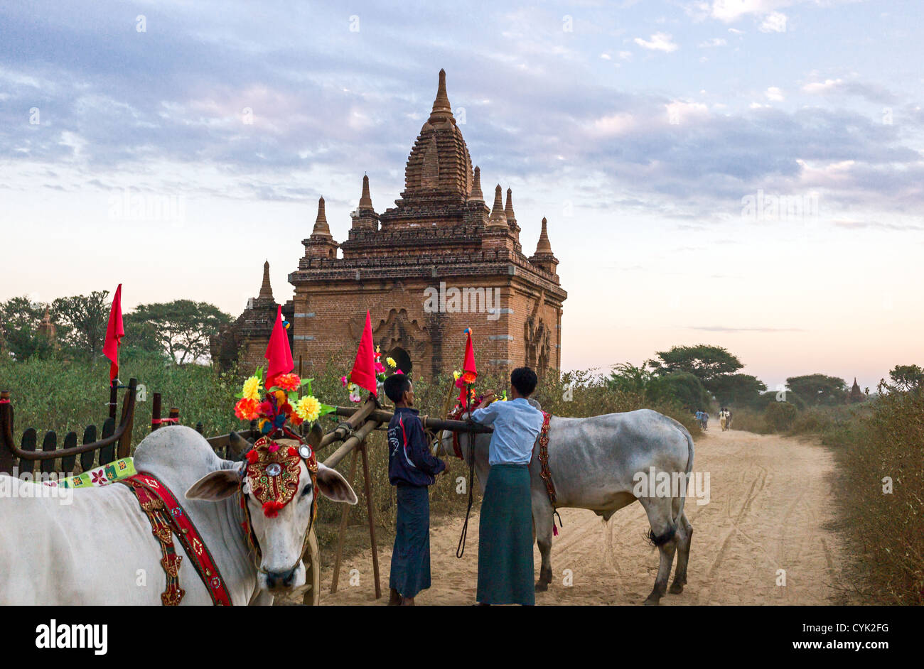 Myanmar, Bagan, people prepairing a sacred carriage in the plain with ...