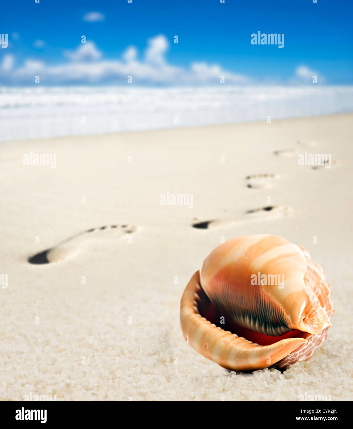 Sea shell and foot prints on a sandy beach Stock Photo - Alamy
