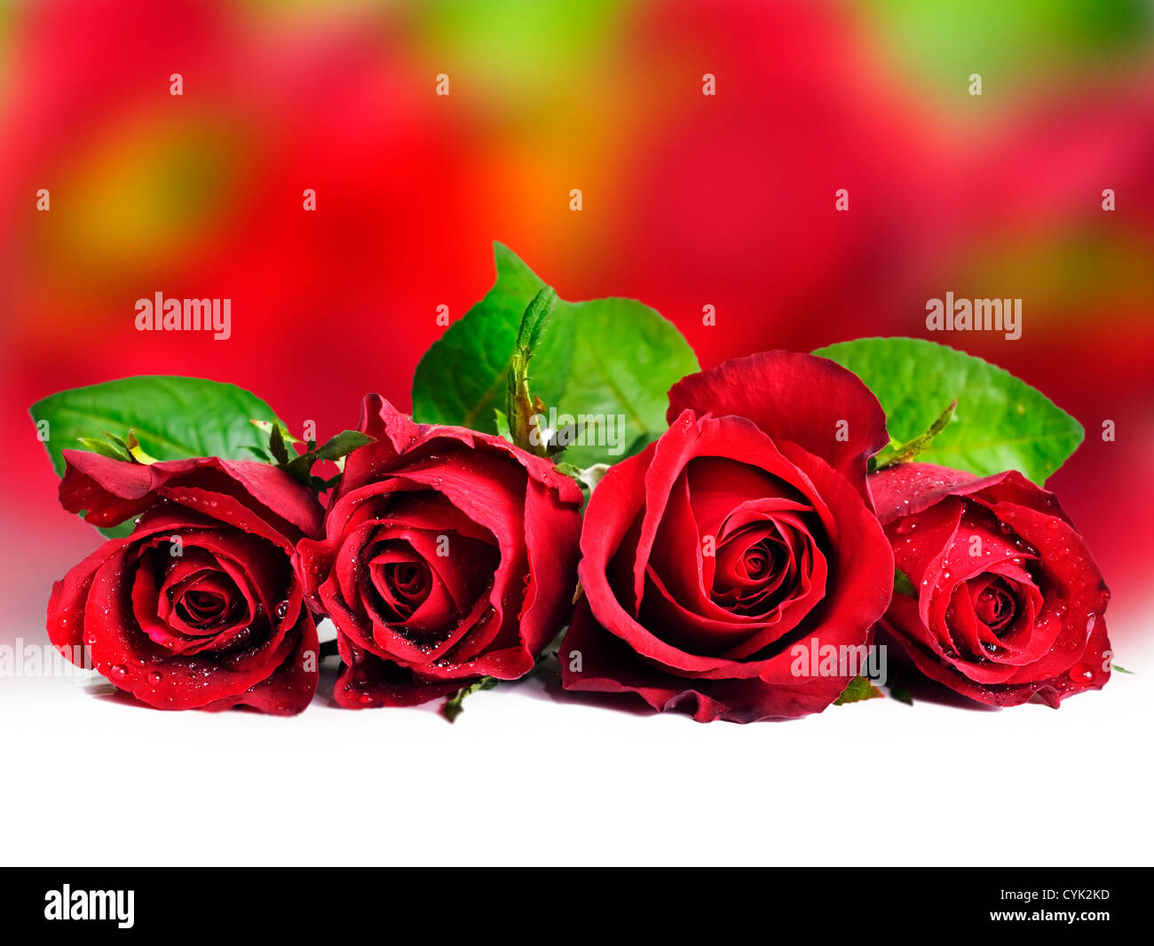 Beautiful red rose background Stock Photo - Alamy