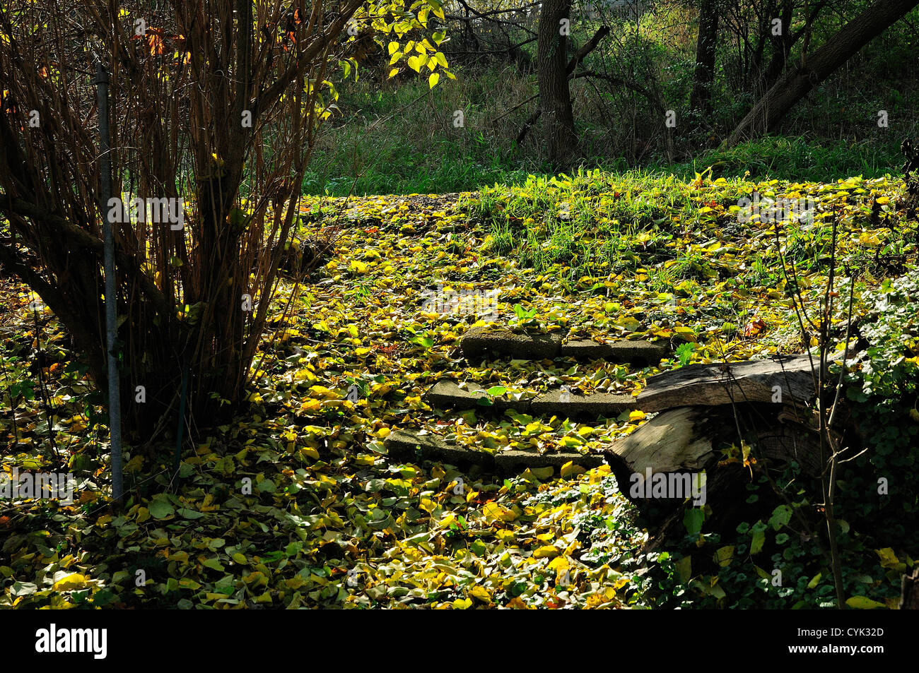 Autumn hillside pathway leading down from berm Stock Photo - Alamy