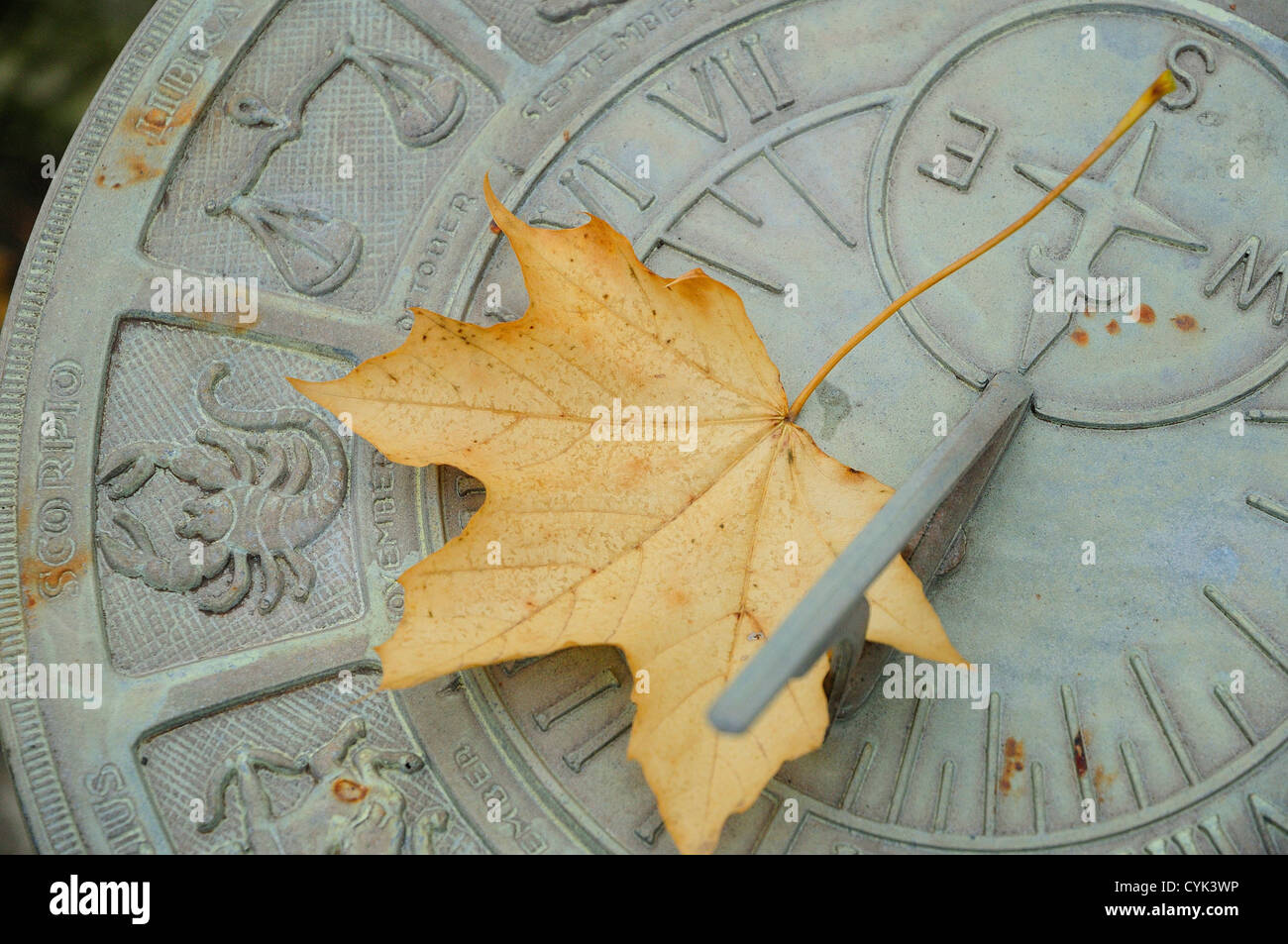 Seasons and months hi-res stock photography and images - Alamy