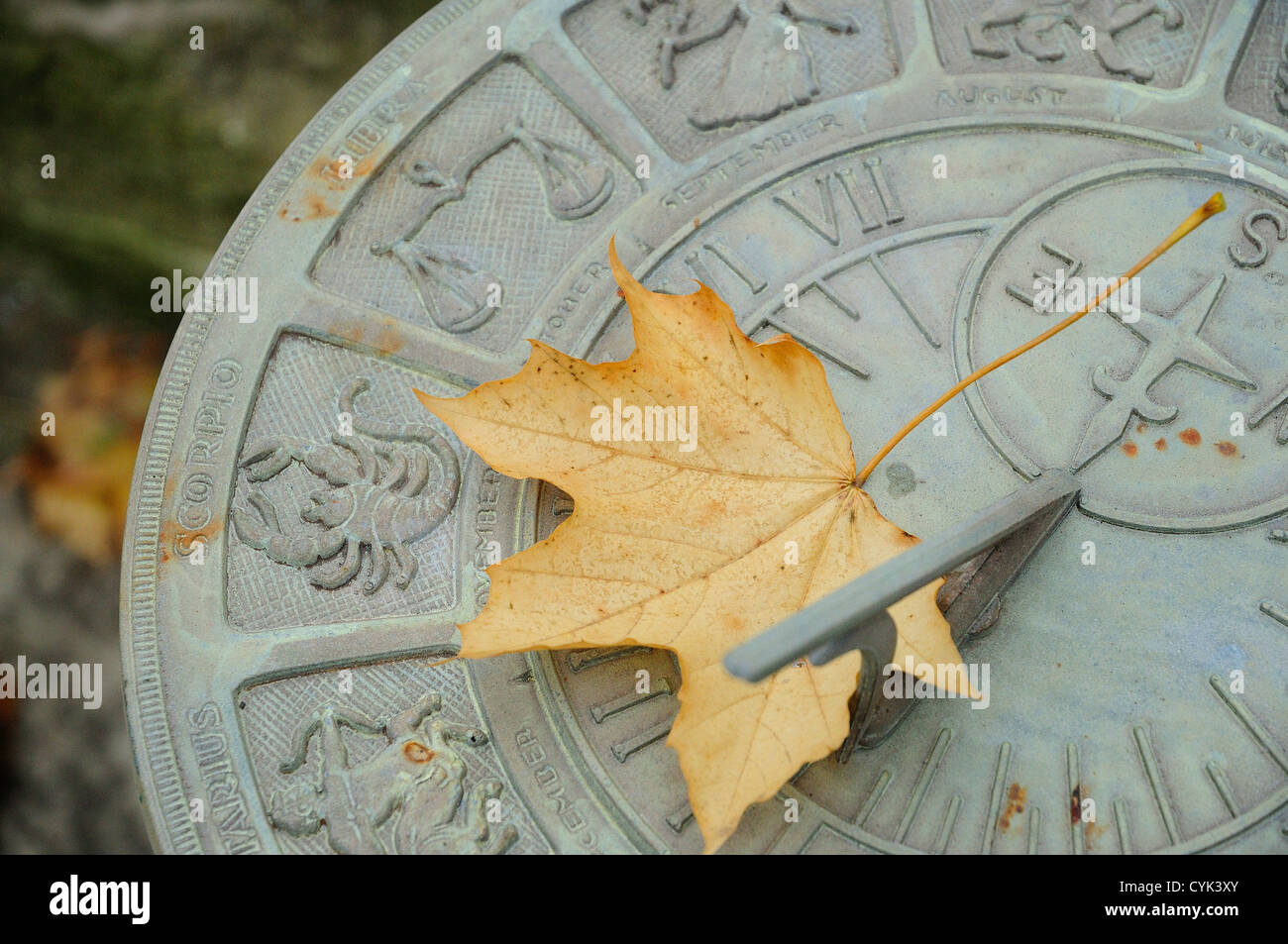 Seasons and months hi-res stock photography and images - Alamy