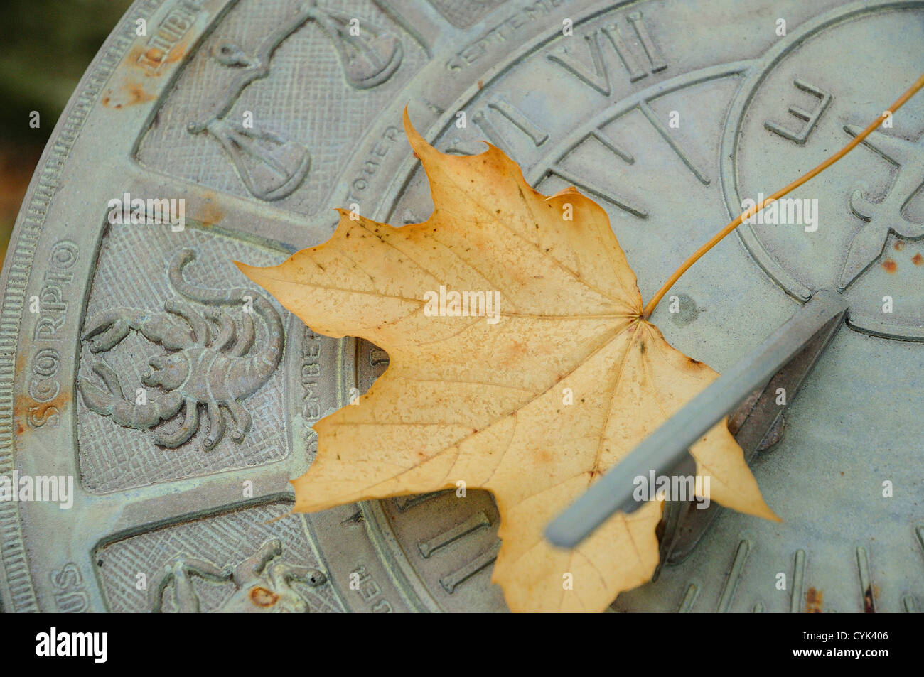 Autumn maple leaf on sundial showing fall months Stock Photo - Alamy