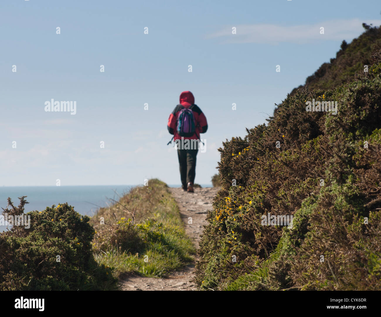 Howth on the coast near Dublin Ireland has scenic looped walk for ...
