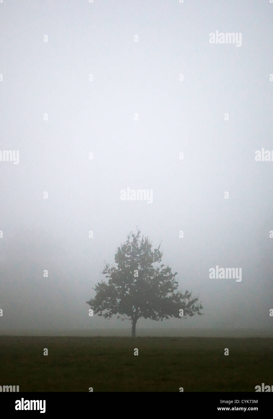 Alone fog one single hi-res stock photography and images - Alamy
