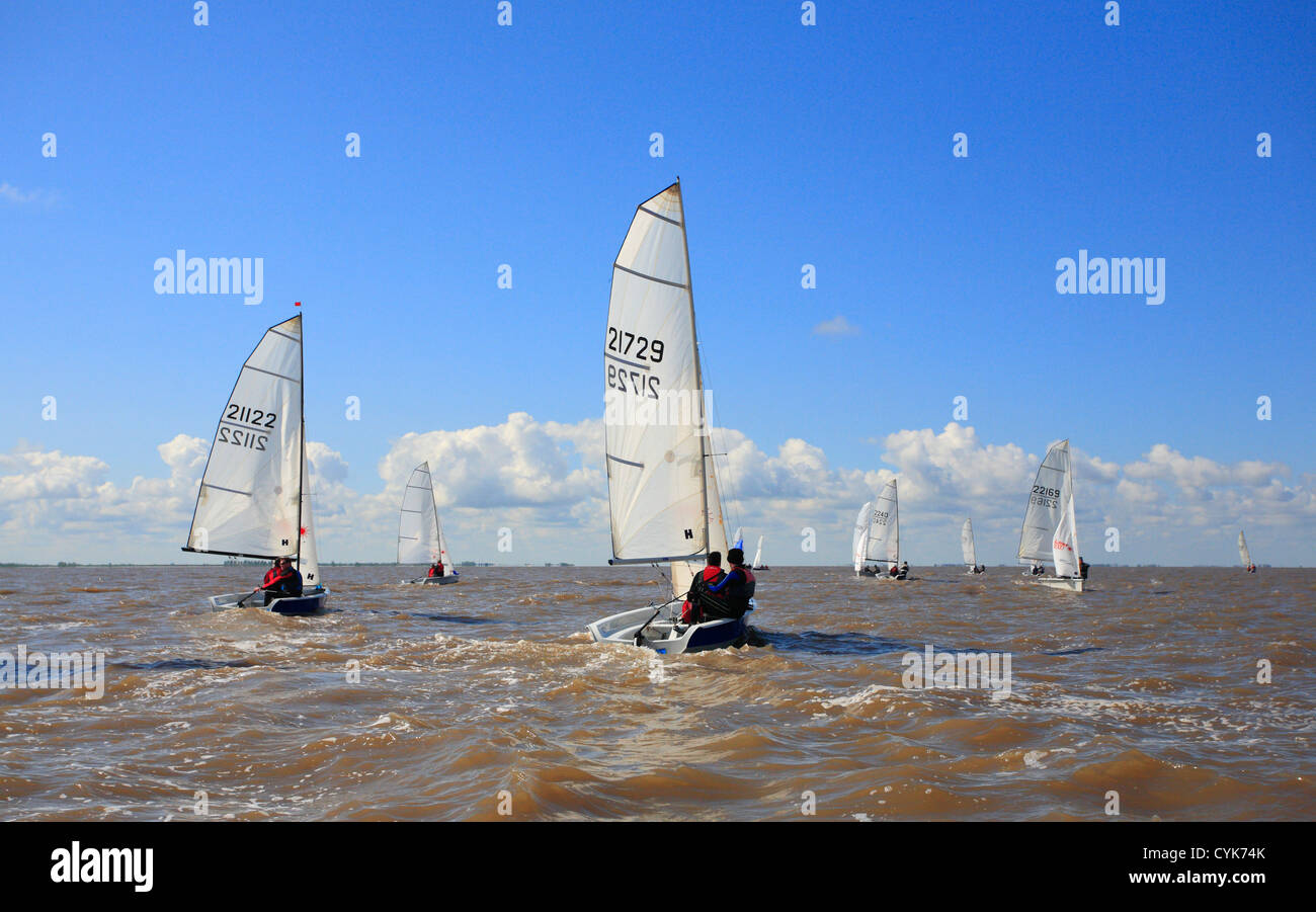 Laser 2000 sailing fleet at Snettisham in Norfolk Stock Photo - Alamy