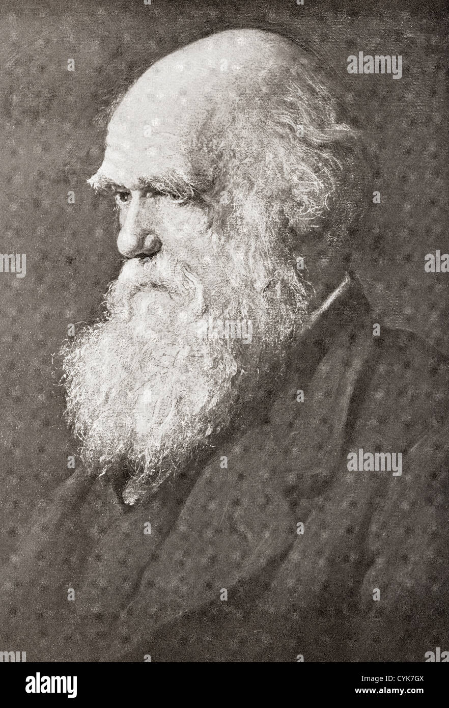 Charles darwin evolution theory hi-res stock photography and images - Alamy